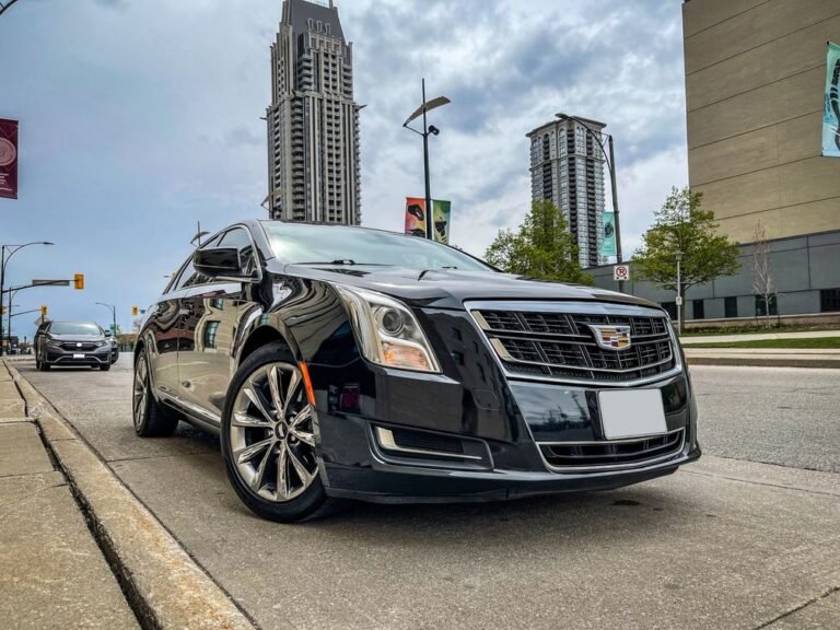 Meet & Greet Limo Services - Black Car Livery Service